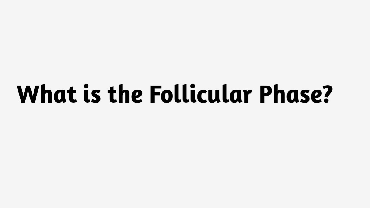 What is the Follicular Phase ? - YouTube