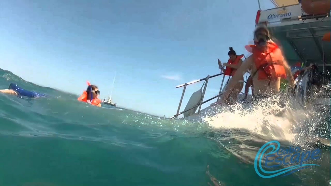 Cabo Escape Snorkel Tour - YouTube