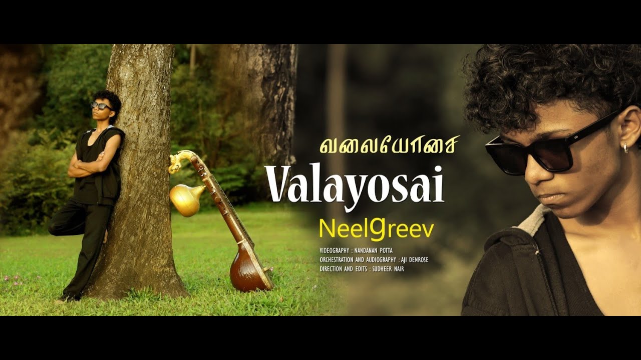 Valayosai Veena Cover | Neelgreev I Instrumental - YouTube