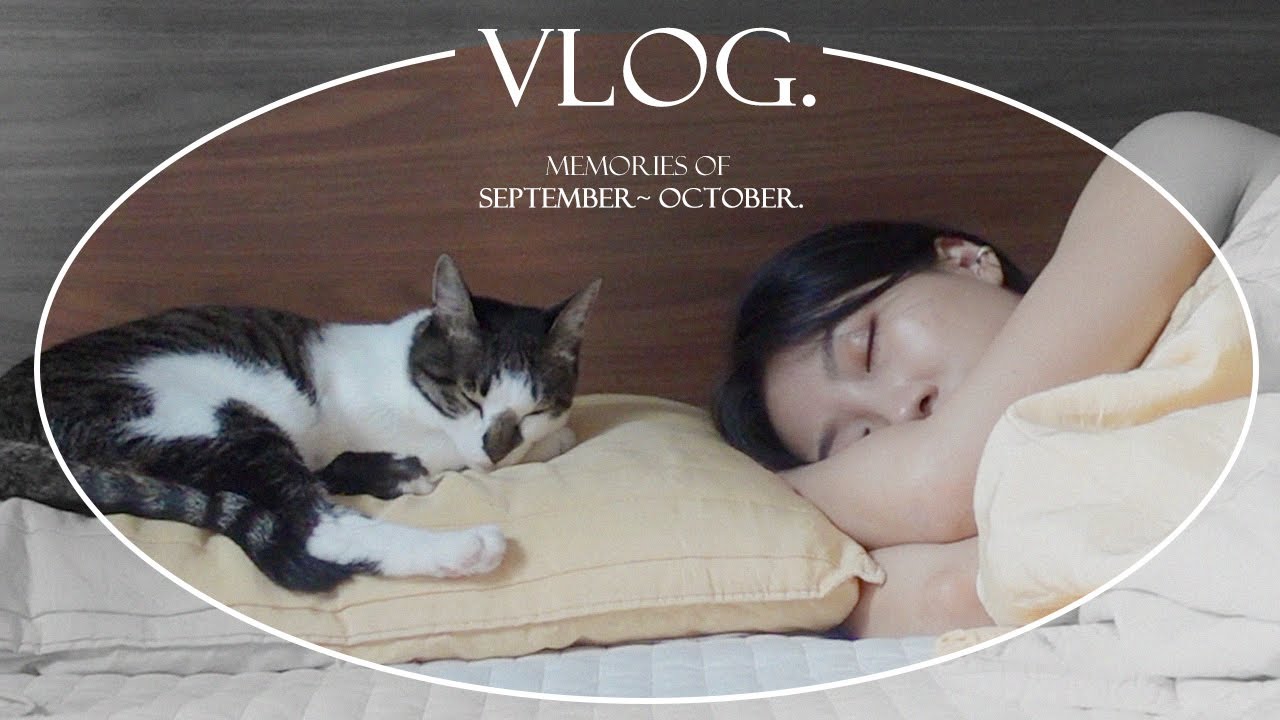 죽은 외장하드에서 살린 VLOG 운동에 미친 소심한 ESFP의 일상 | 민스코 Minsco - YouTube