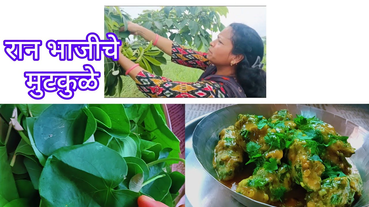 दुर्मिळ रान भाजी फांदीच्या भाजीचे मुटकुळे | ran bhaji mutkule recipe ...