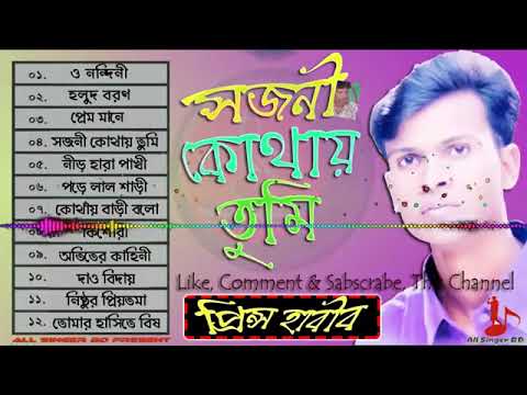 সজনি কোথায় তুমি || প্রিন্স হাবীব || Sojoni Kothay Tumi || Princh Habib