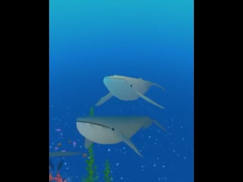 Tap tap fish/Abyssrium : Blue whale and Migaloo together - YouTube