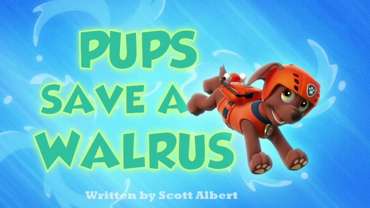 PAW Patrol Pups Save A Walrus Title Card - YouTube