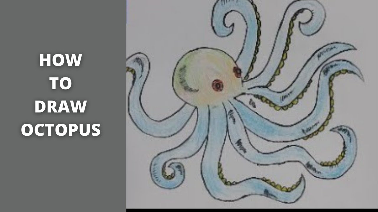 How To Draw Octopus | Octopus Drawing | How To Draw a Octopus | Easy ...