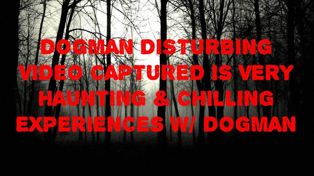 DOGMAN DISTURBING VIDEO CAPTURED IS VERY HAUNTING & CHILLING EXPERIENCES W/ DOGMAN - YouTube