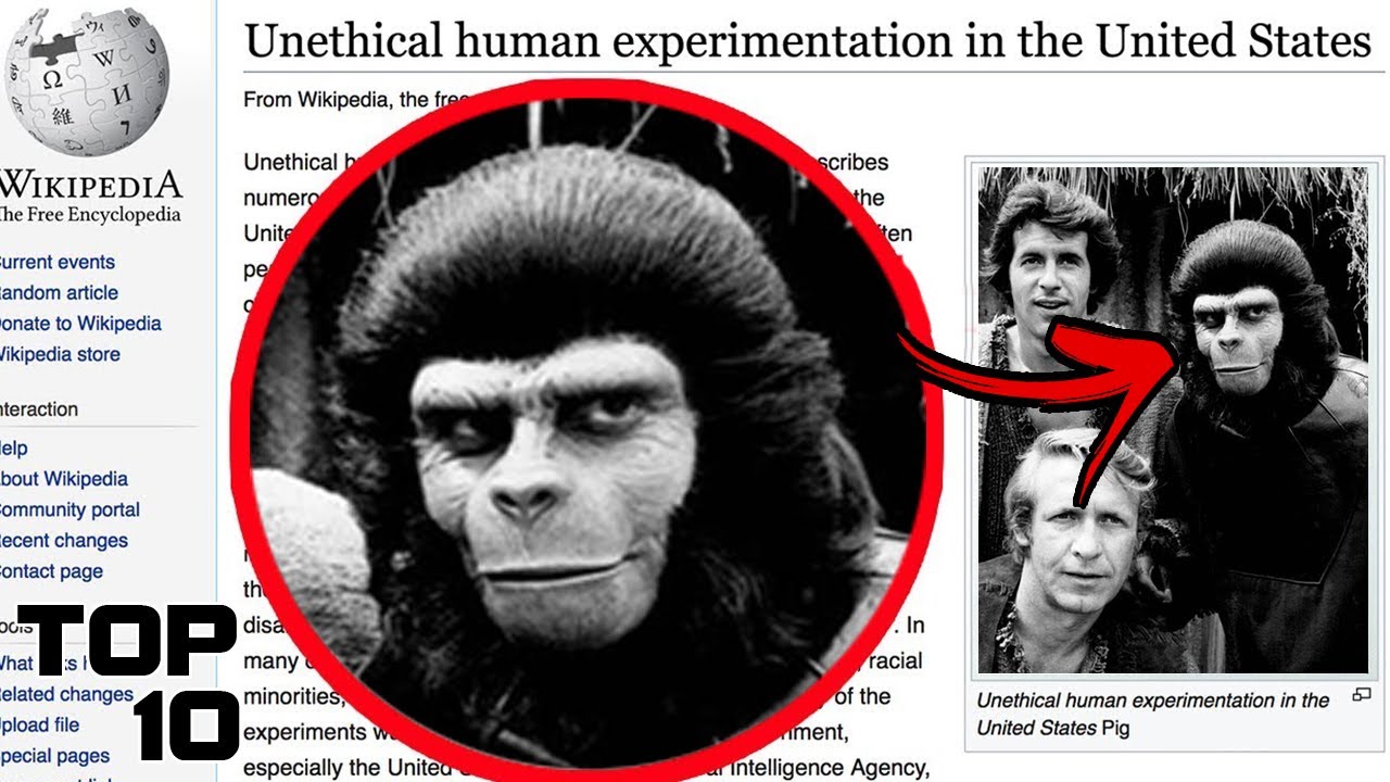 Top 10 Weirdest Wikipedia Pages To Ever Exist - YouTube