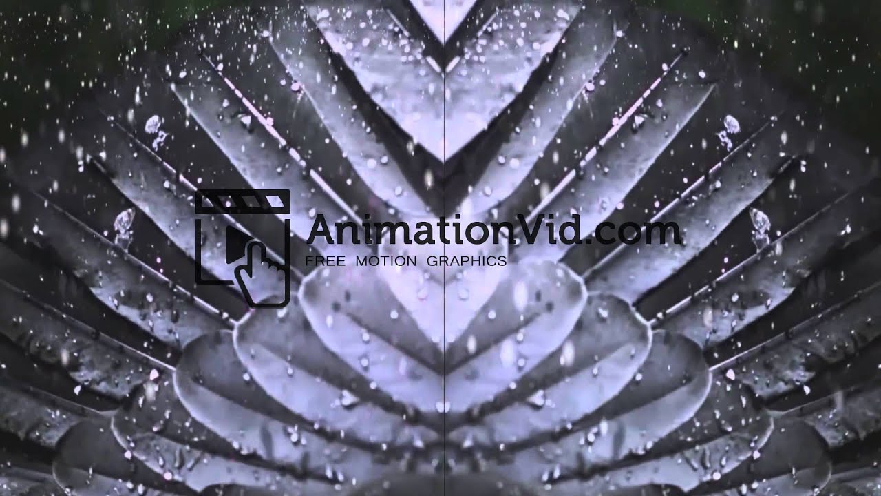 Bird Feather Movement Motion Background - YouTube