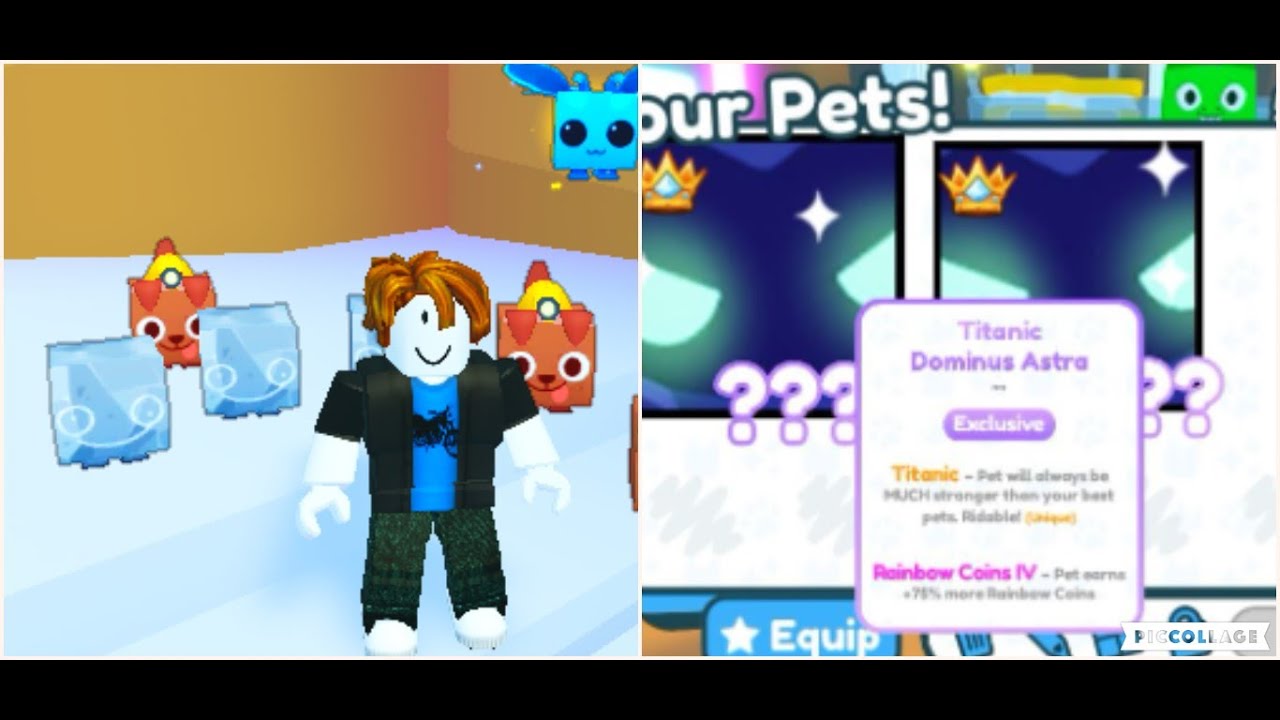 I started as a noob to a pro with the best robux pets in pet simulator ...