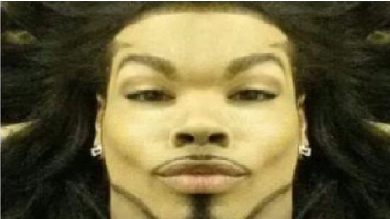 Chimpmania 2022 - YouTube