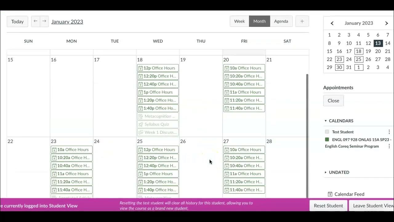 How To Make An Appointment On Canvas YouTube how-to-make-an-appointment-on-canvas-youtube