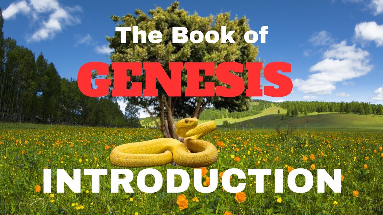 Introduction to the Book of Genesis |Genesis Bible study | Bible ...