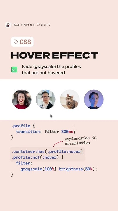 😍😍 Unique Image Hover Effect using CSS #webdevelopment #css3 - YouTube