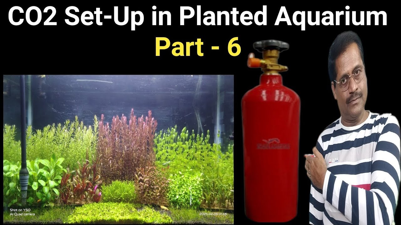 how to set up co2 for planted aquarium ! co2 system for aquarium plants ...