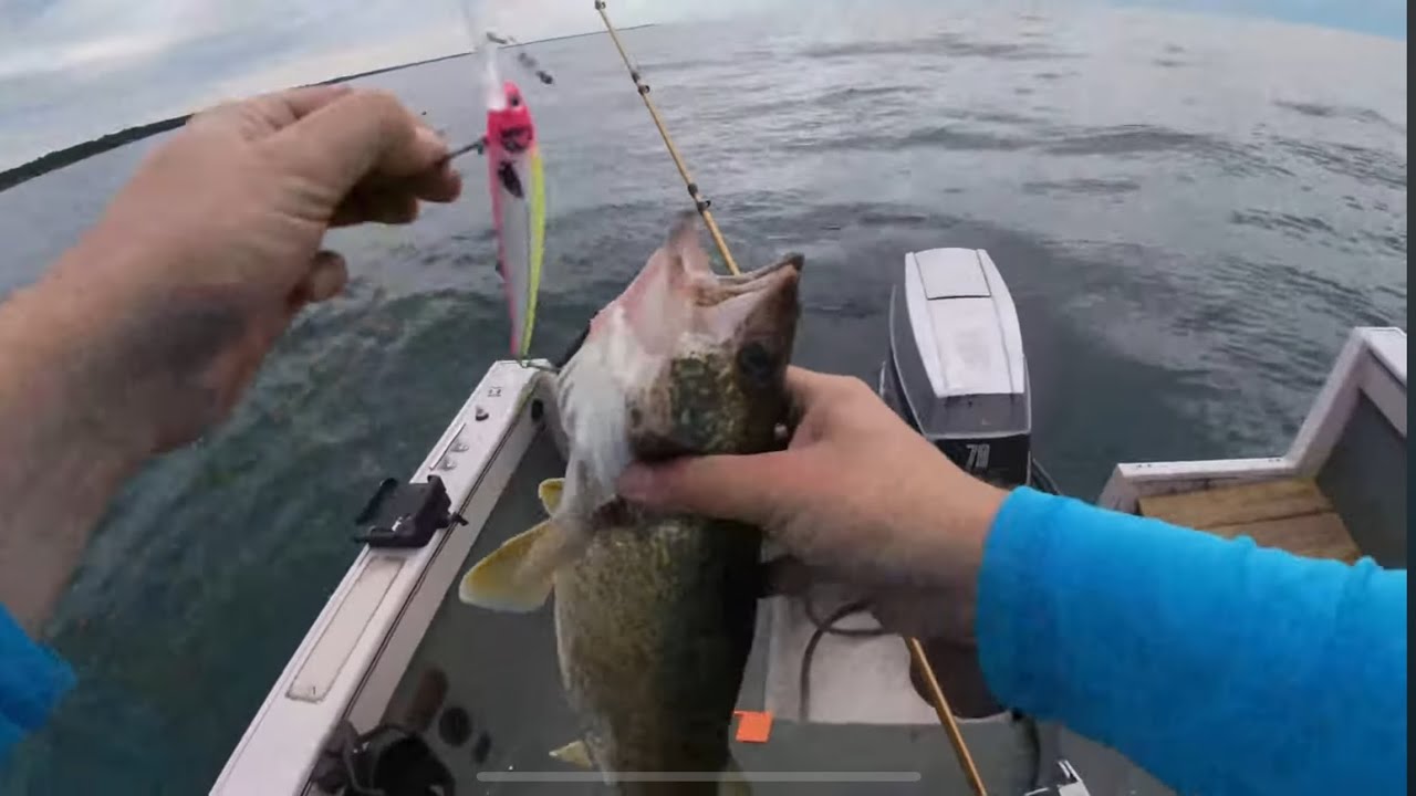 Trolling Walleye with the 50'+2oz method (2024) (Lake Erie) - YouTube