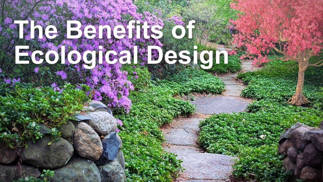EcoBiz Training Series: The Benefits of Ecological Design - YouTube