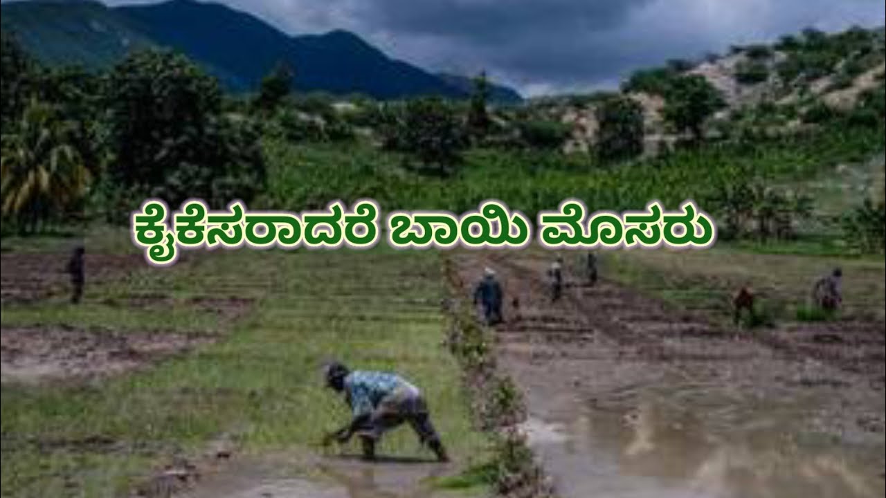 kannada gadhe"ಕೈ ಕೆಸರಾದರೆ ಬಾಯಿ ಮೊಸರು" - YouTube