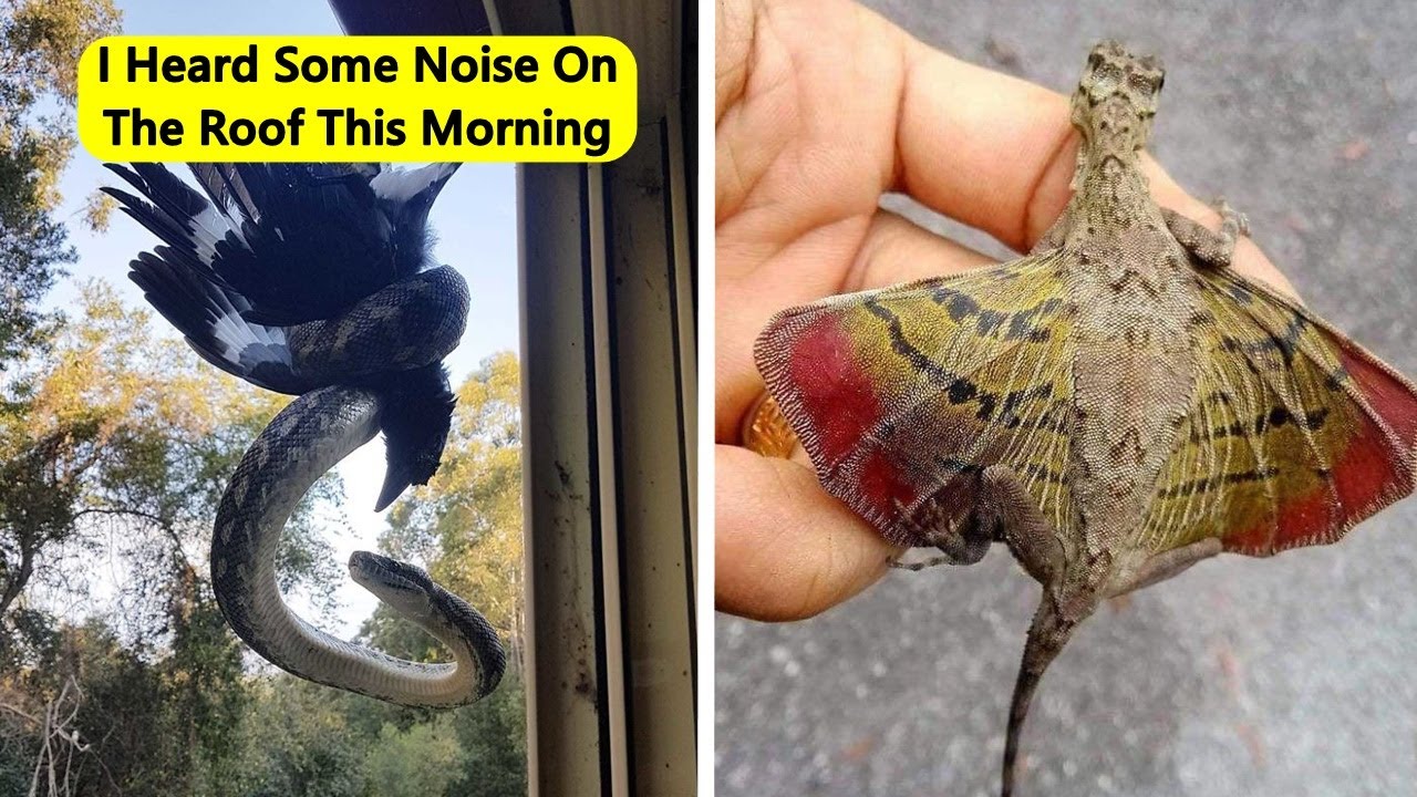 Times Mother Nature Proved To Be Scary As Hell (WARNING: This List ...