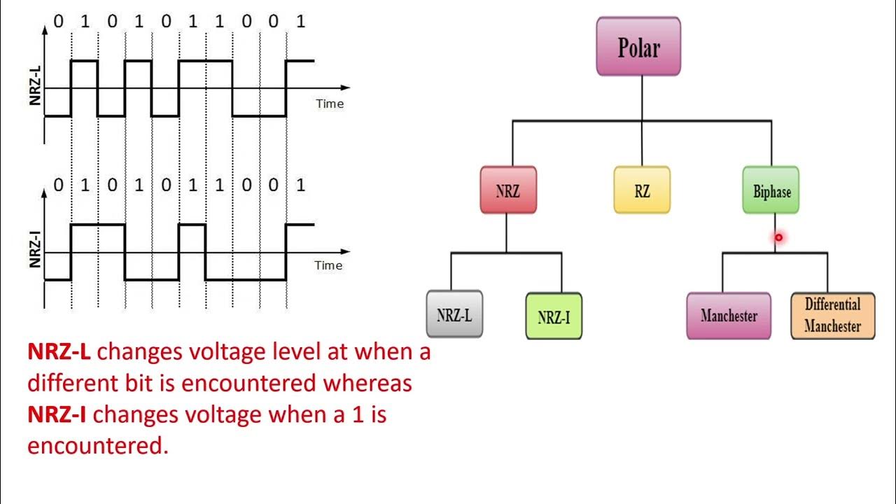 CLASS-1 || Computer Network || Network Structure.||Physical Layer ...