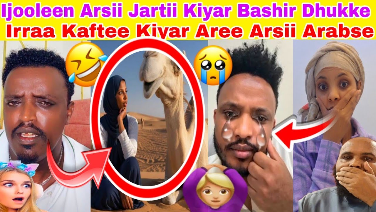 😱🙈#ijooleen Arsii jartii kiyar Bashir irraa dhukkee kaftee kiyar Arsii ...