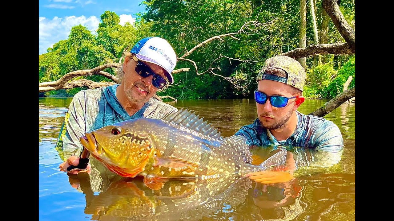 Pousada Monstros do Rio Barcelos Amazonas - YouTube