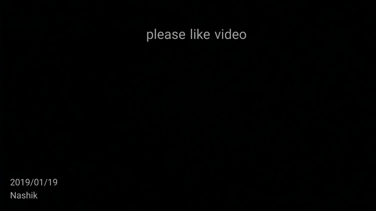 Gouramis fish feeding - YouTube