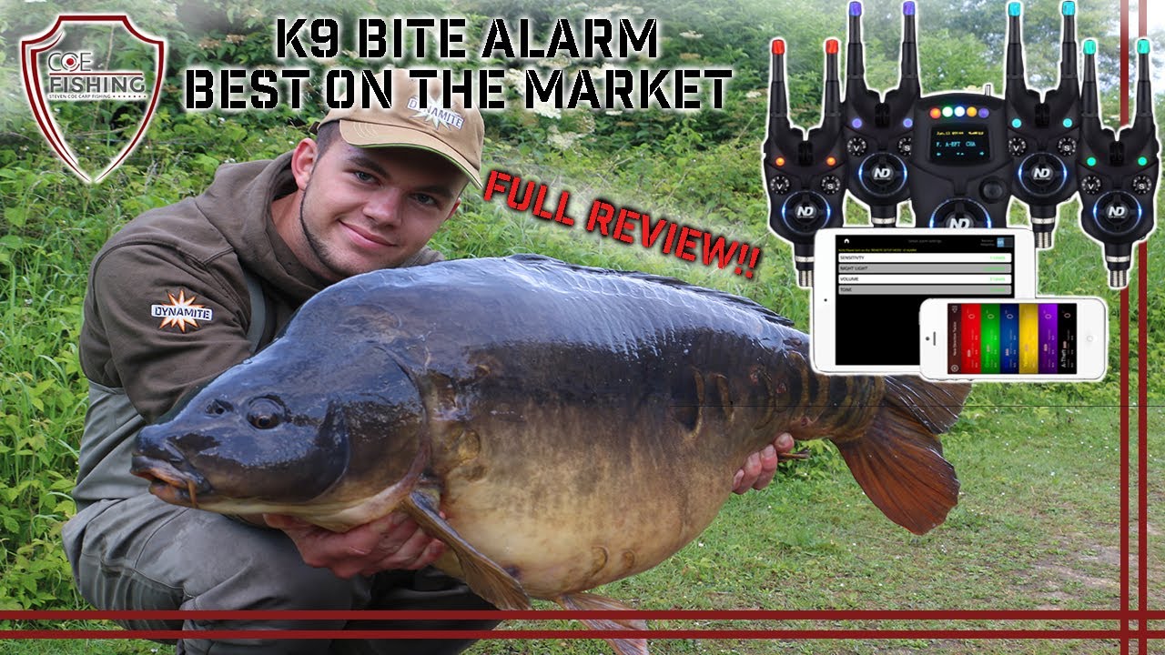 New Direction K9 Bite Alarm Review - YouTube