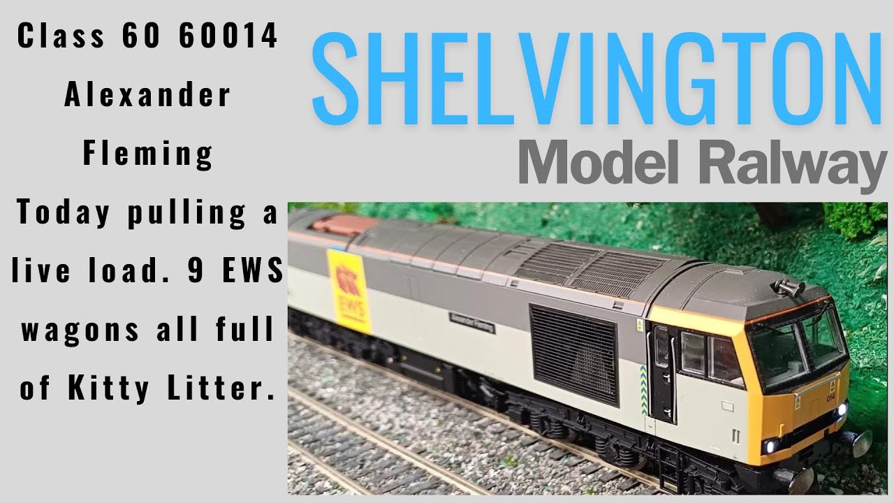 Hornby R2639 Class 60 60014 Alexander Fleming. #modelrailway # ...
