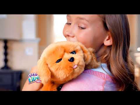 Meet Snuggles the puppy! - YouTube
