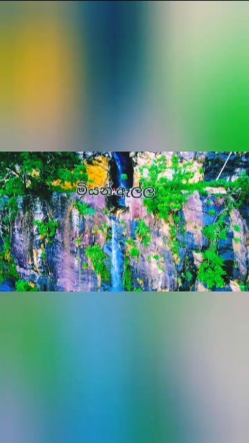 මියන් ඇල්ල😘 ️🤗😛 #song #tamil #music #coversong Miyan Alla#live Ihala ...