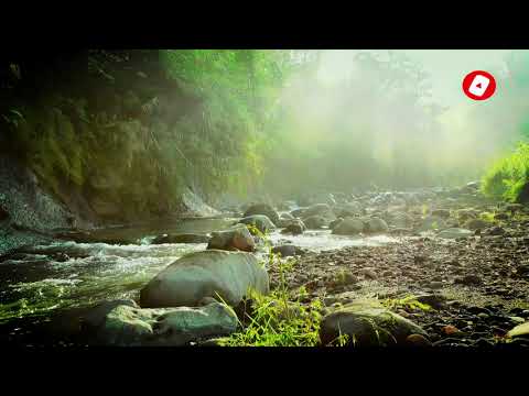 Edho solla - Sid Sriram, Status video