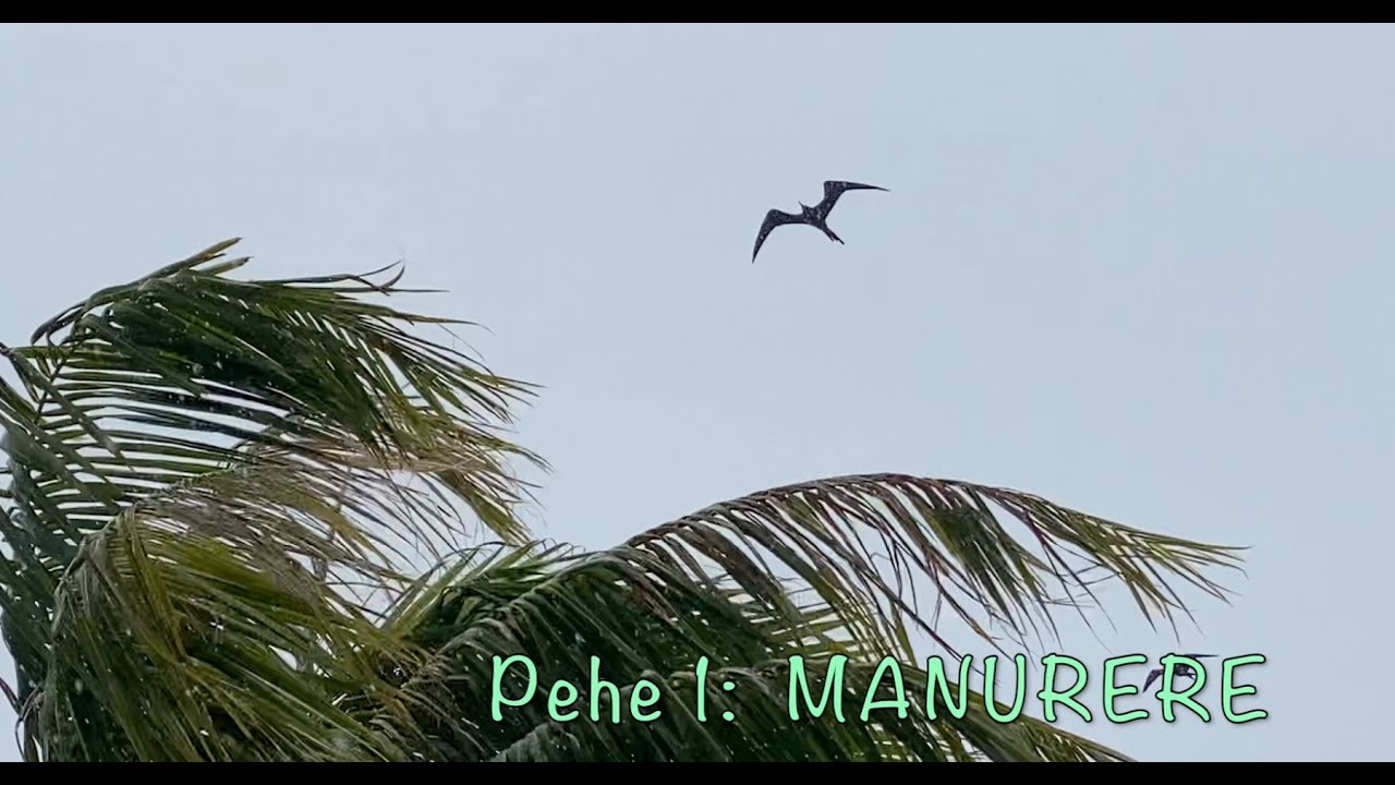 Pehe I - MANURERE - PEHE 2025 - YouTube