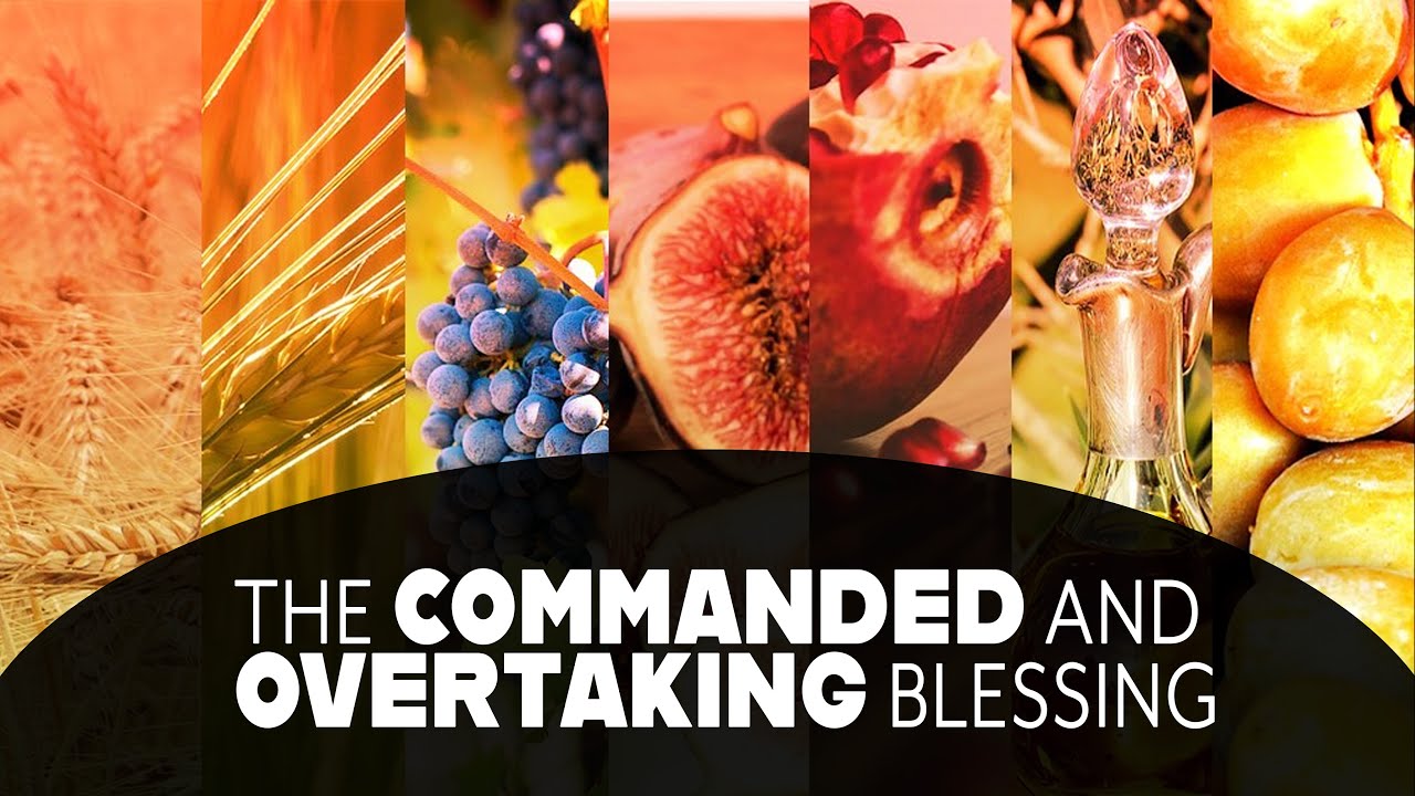 The Commanded and Overtaking Blessing #blessings #command #torah # ...