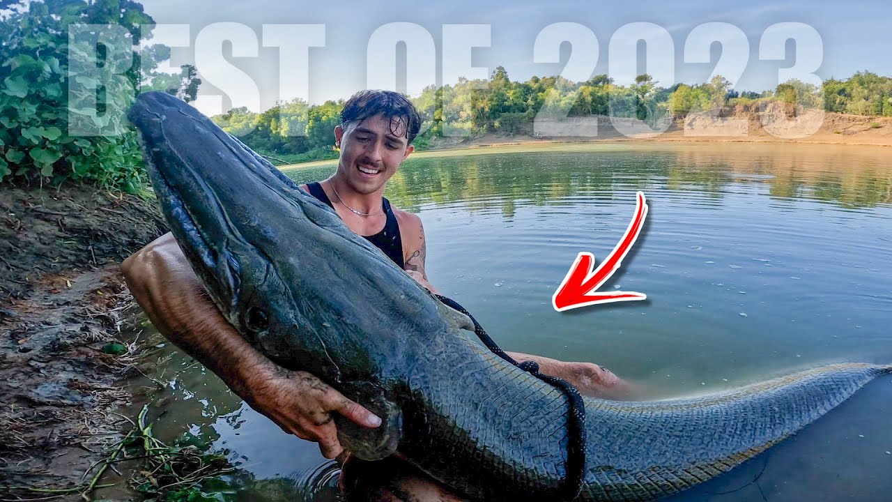 Finatic Best of 2023 - YouTube