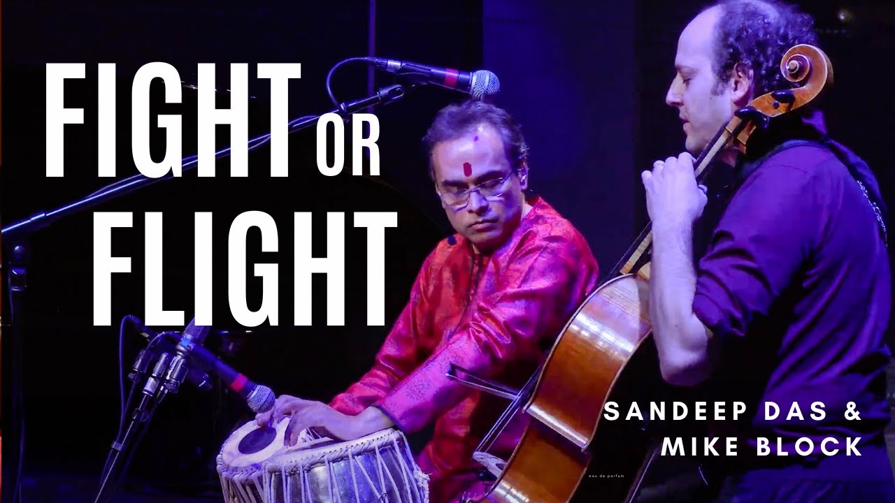"Fight or Flight" Music Video | Sandeep Das and Mike Block at Carnegie ...