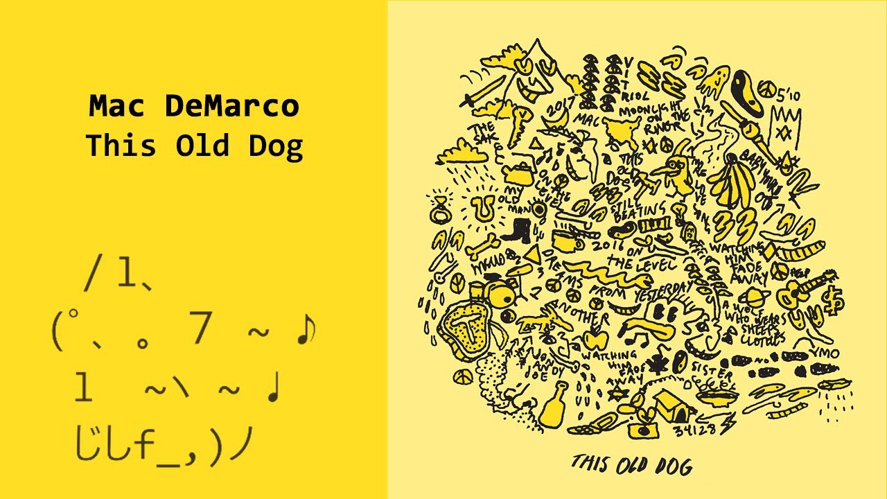 Mac DeMarco - This Old Dog (Karaoke) - YouTube