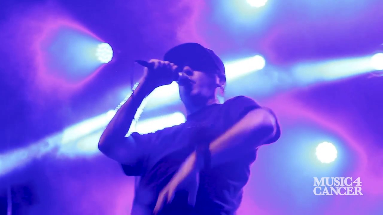 Pennywise Bro Hymn - Live at Music 4 Cancer Fest 2017 - YouTube