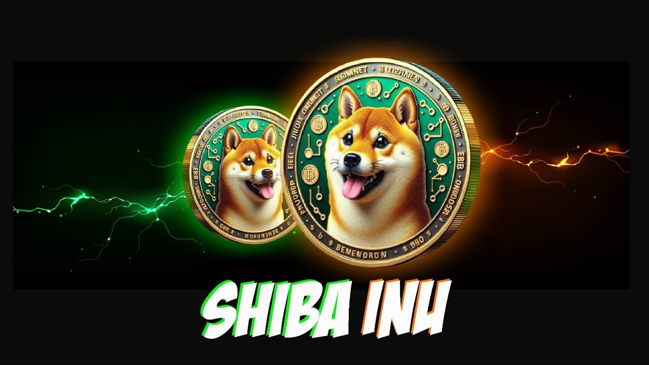What is the Shiba Inu Coin? SHIB Explained with Animations on White ...