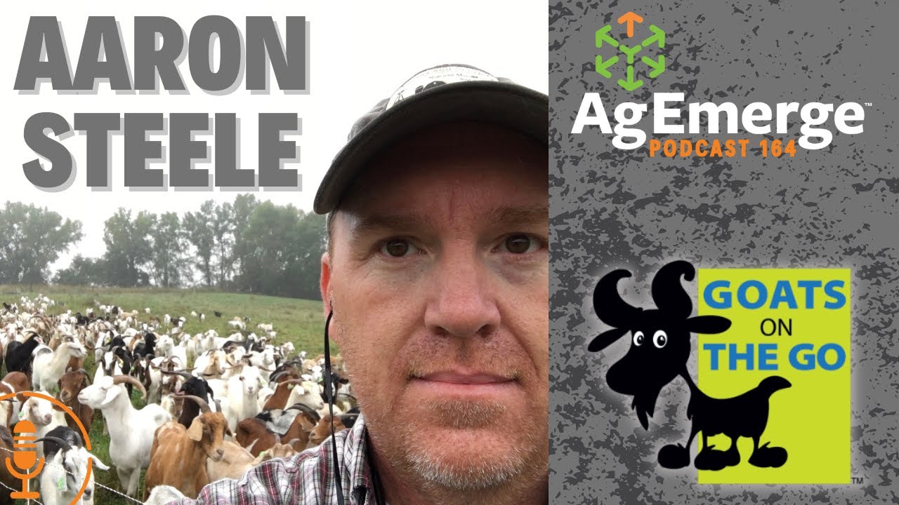 AgEmerge Podcast 164 with Aaron Steele with Goats on the Go - YouTube