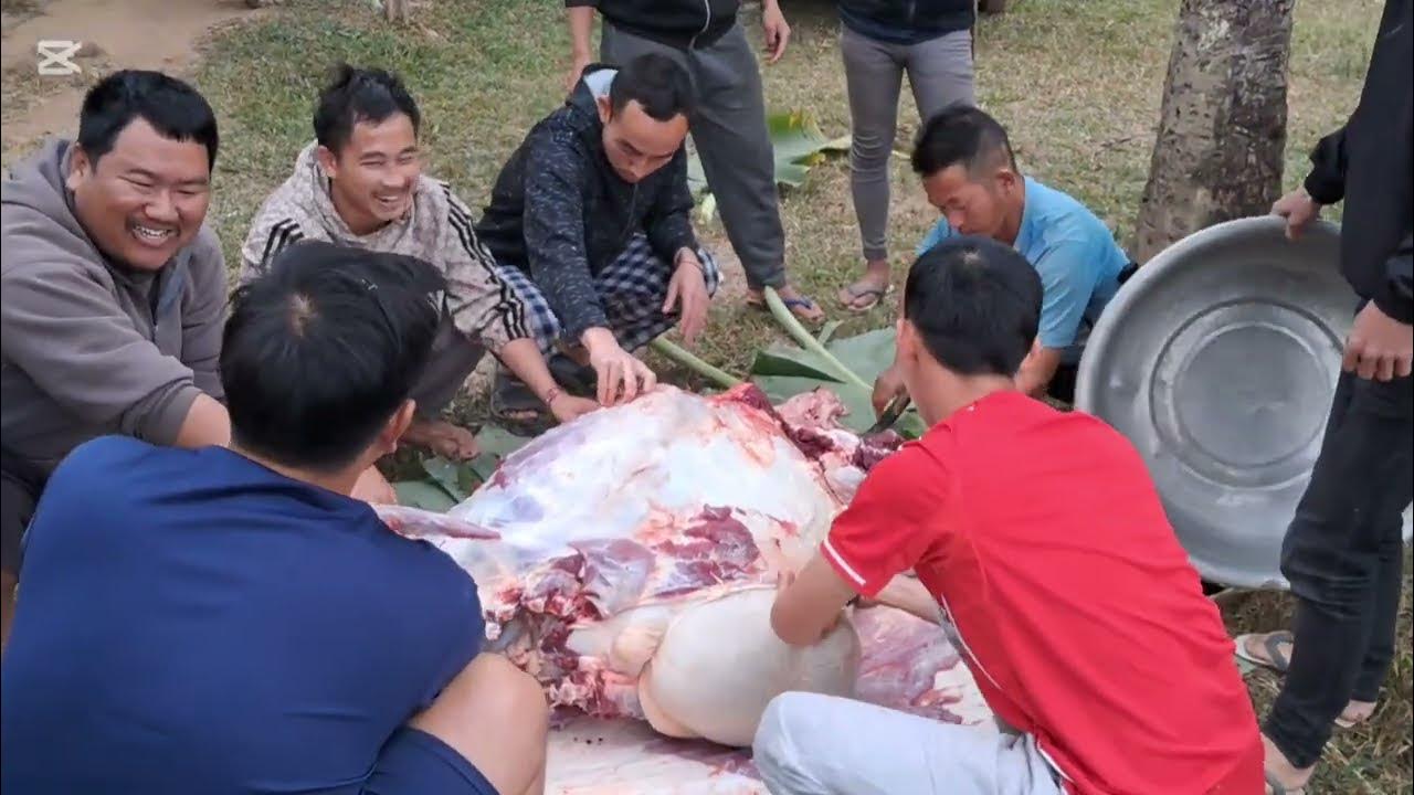 hnub no peb ua plig rau tij laug thiab yawg nkawv os - YouTube