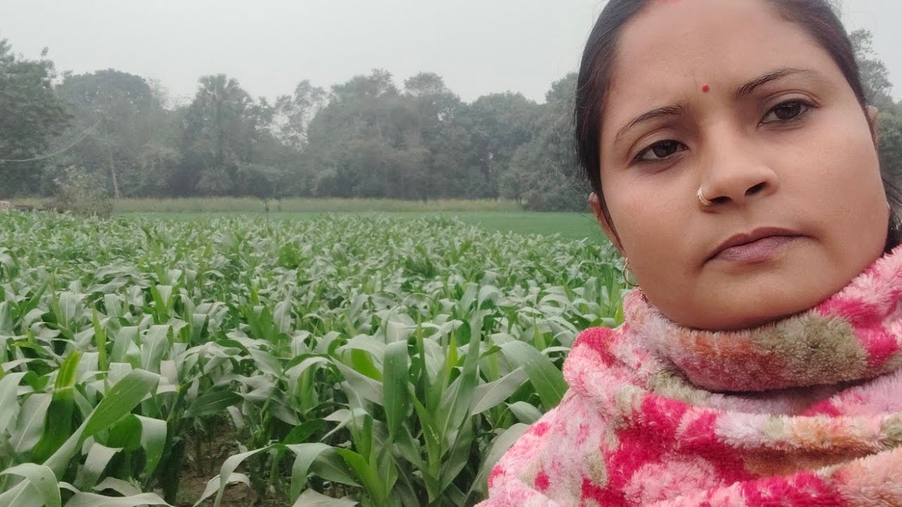 #Nutan Sharma official" - YouTube