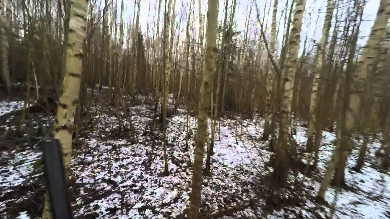 One of the moments from driven hunt in Lithuania - YouTube