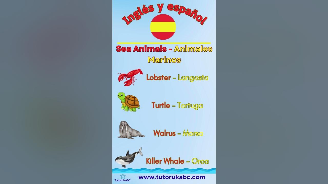 Sea Animals 6 (Animales marinos) in English & Spanish | Multi Language ...