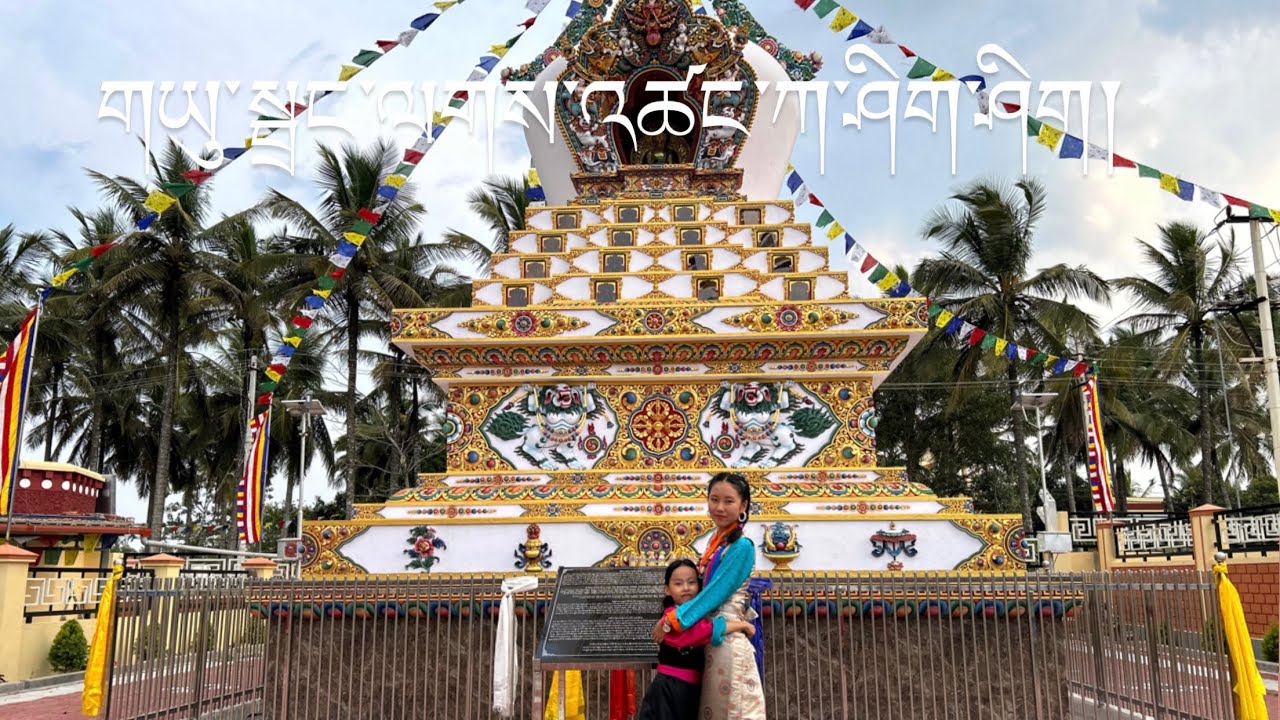 Yudrang Tsanga Shik Shik/གཡུ་སྦྲང་འཚང་ཀ་ཤིག་ཤིག། #tibetangorshey with ...
