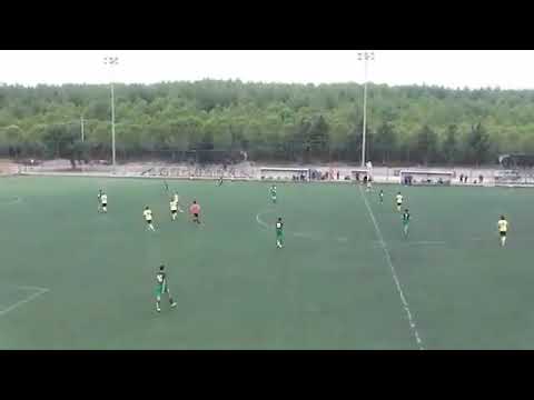 Fenerbahçe Barış Sungur Golleri