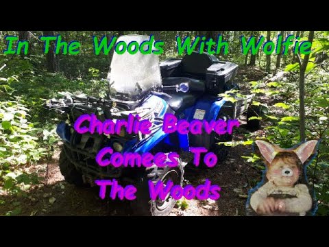 Charlie Beaver Comes To The Woods - YouTube