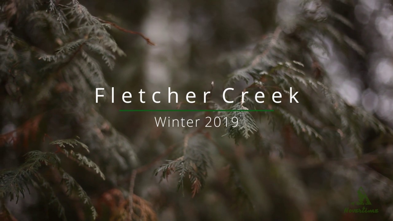 Hiking - Fletcher Creek Ecological Preserve - Hamilton, Ontario - YouTube