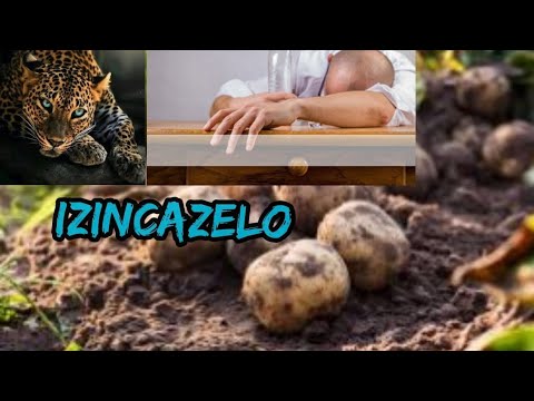 Ukuphupha ingwe,udakiwe ,ugubha amazambane nokunye - YouTube