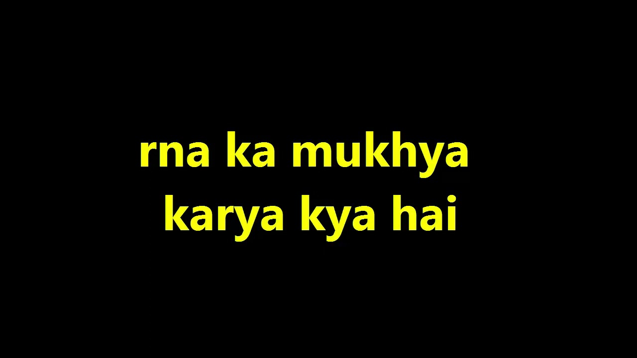Rna Ka Mukhya Karya Kya Hai YouTube rna-ka-mukhya-karya-kya-hai-youtube