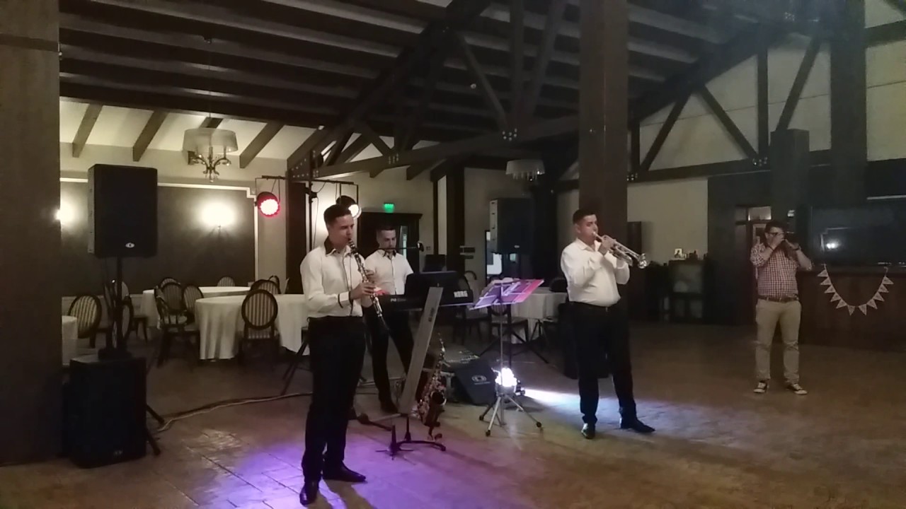 Bucovina Band Vatra Dornei-Program de bucovina 2017 - YouTube